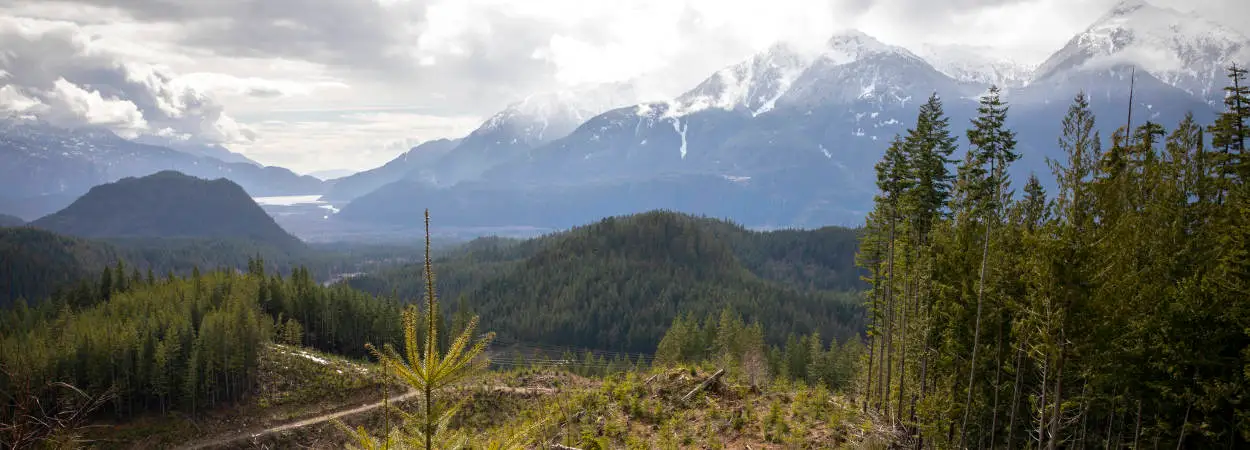 12 Pro Tips for Full-Time 5th Wheel Living